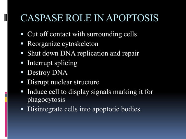 Caspases | PPTX