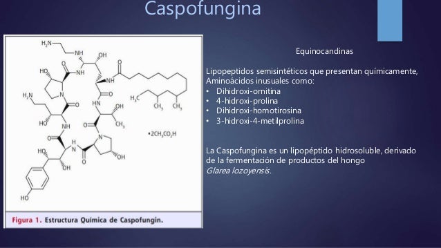 ANTIFÚNGICOS CASPOFUNGINA