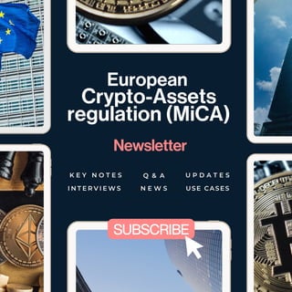 CASPs_MiCA_license_.pdf