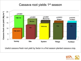 Cassava: What do we know about the crop? | PPTX