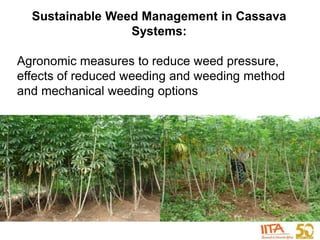 Cassava: What do we know about the crop? | PPTX