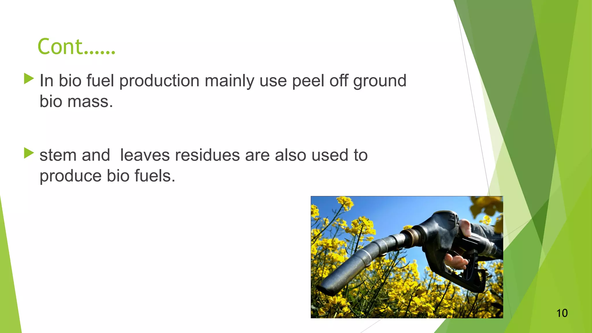 Cassava biofuel | PPT