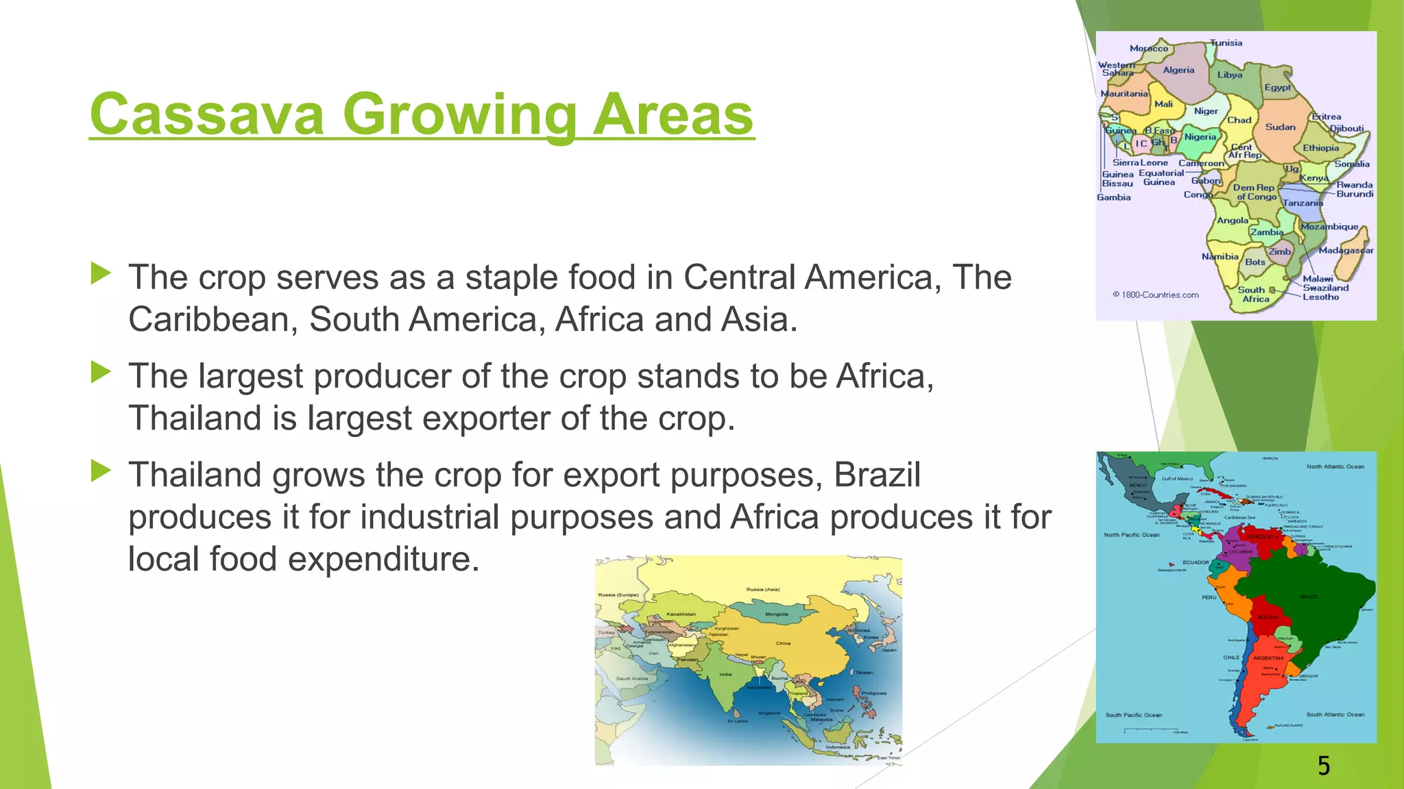 Cassava biofuel | PPT