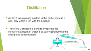 Cassava biofuel | PPT