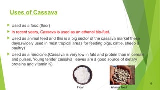 Cassava biofuel | PPT