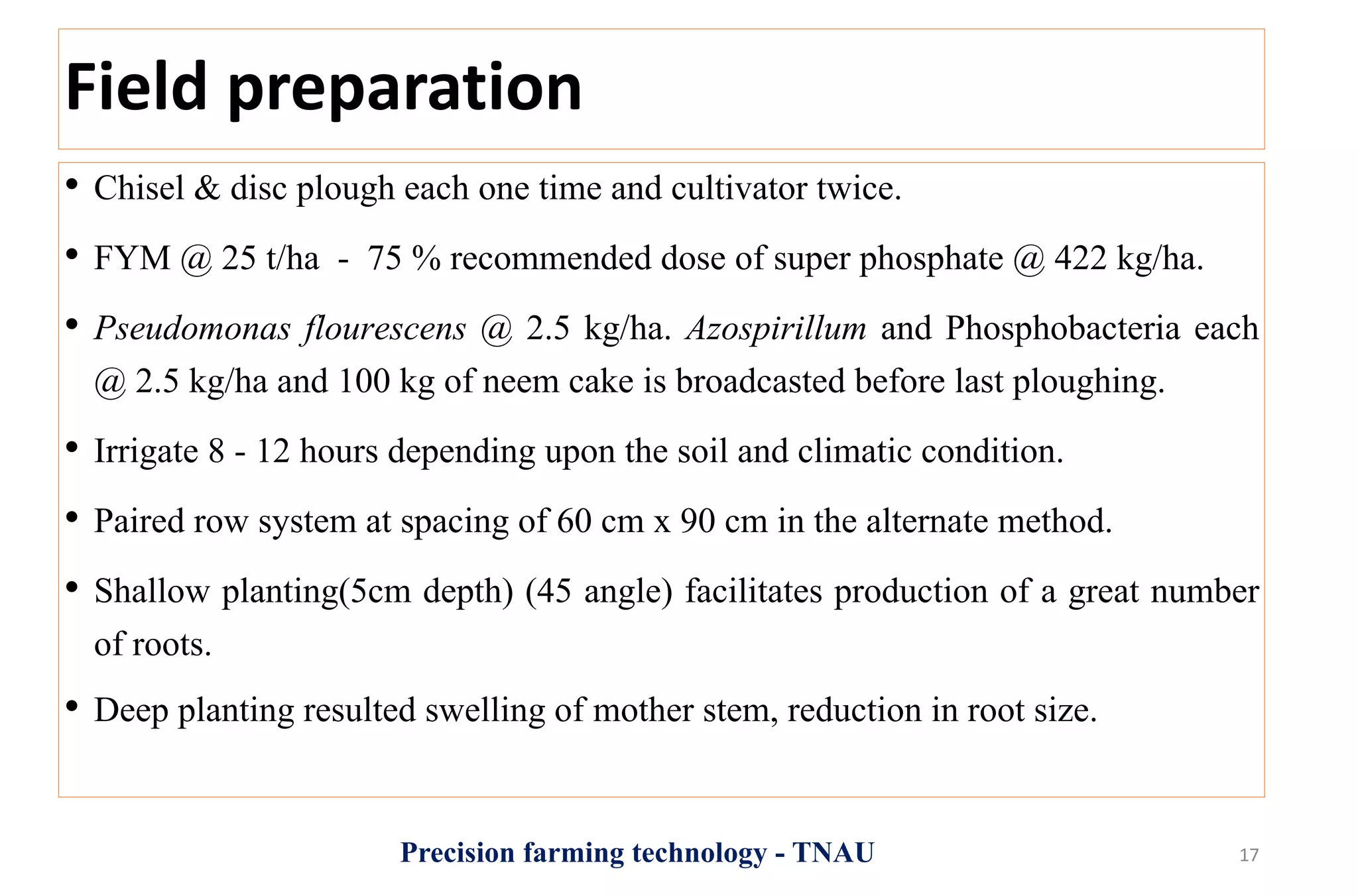 Cassava, tapioca production technology pest and disease, varieties ...