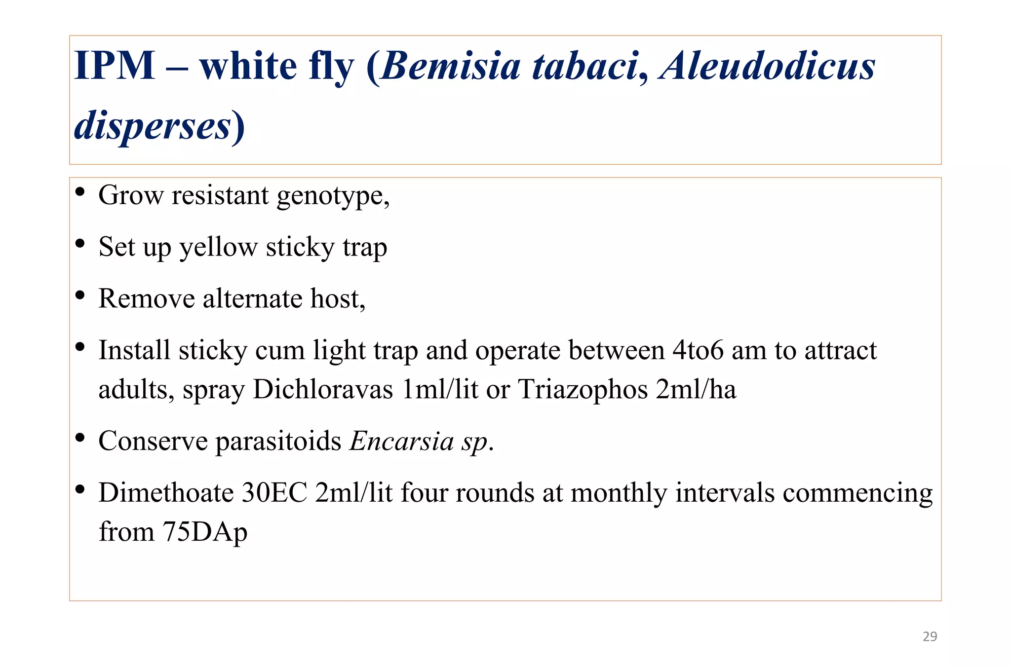 Cassava, tapioca production technology pest and disease, varieties ...