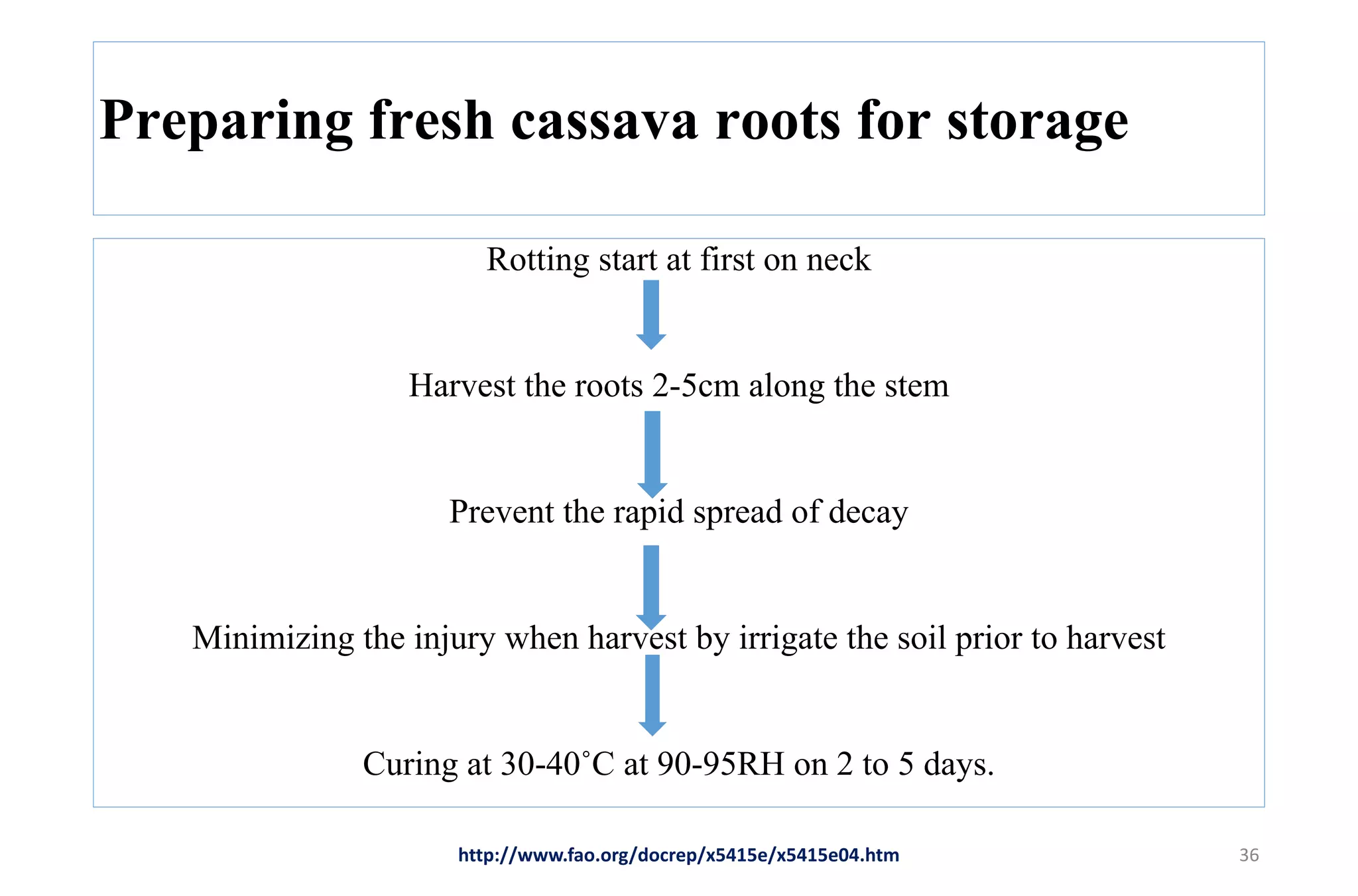 Cassava, tapioca production technology pest and disease, varieties ...