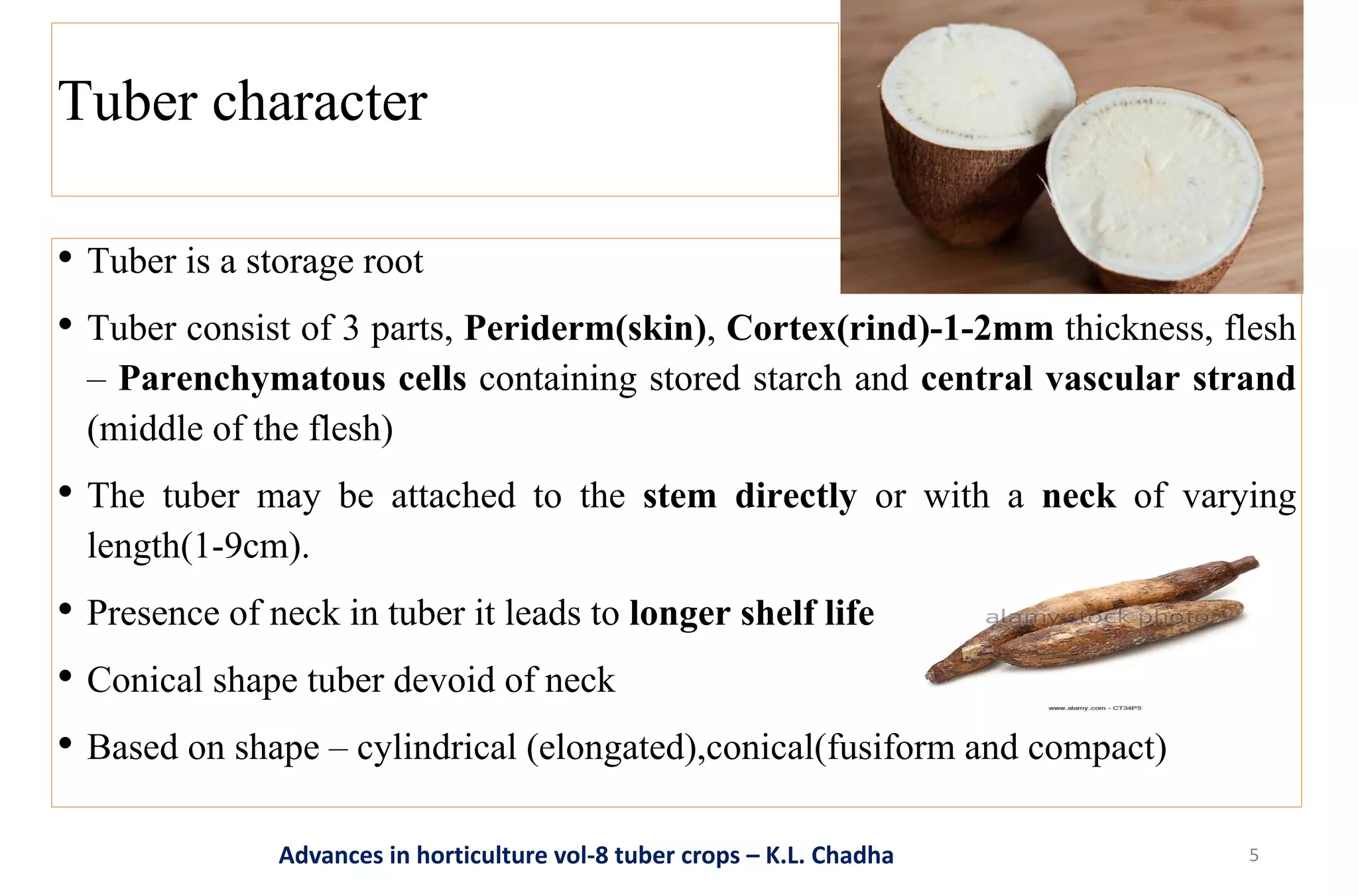 Cassava, tapioca production technology pest and disease, varieties ...