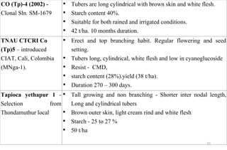 Cassava, tapioca production technology pest and disease, varieties ...