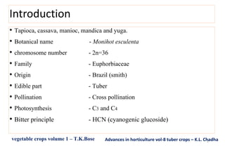 Cassava, tapioca production technology pest and disease, varieties ...