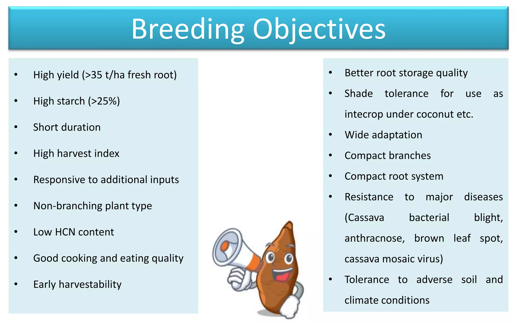 ADVANCES IN THE PRODUCTION TECHNOLOGY OF CASSAVA | PPTX