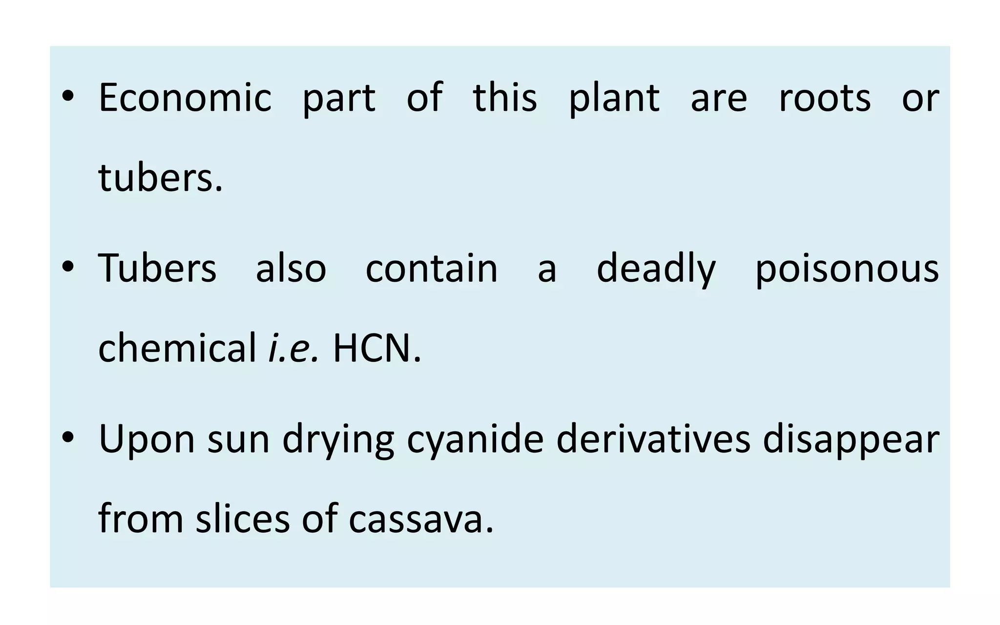 ADVANCES IN THE PRODUCTION TECHNOLOGY OF CASSAVA | PPTX