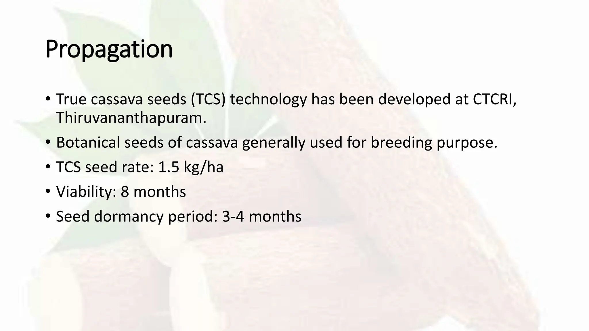 The Production technology of Cassava.pptx
