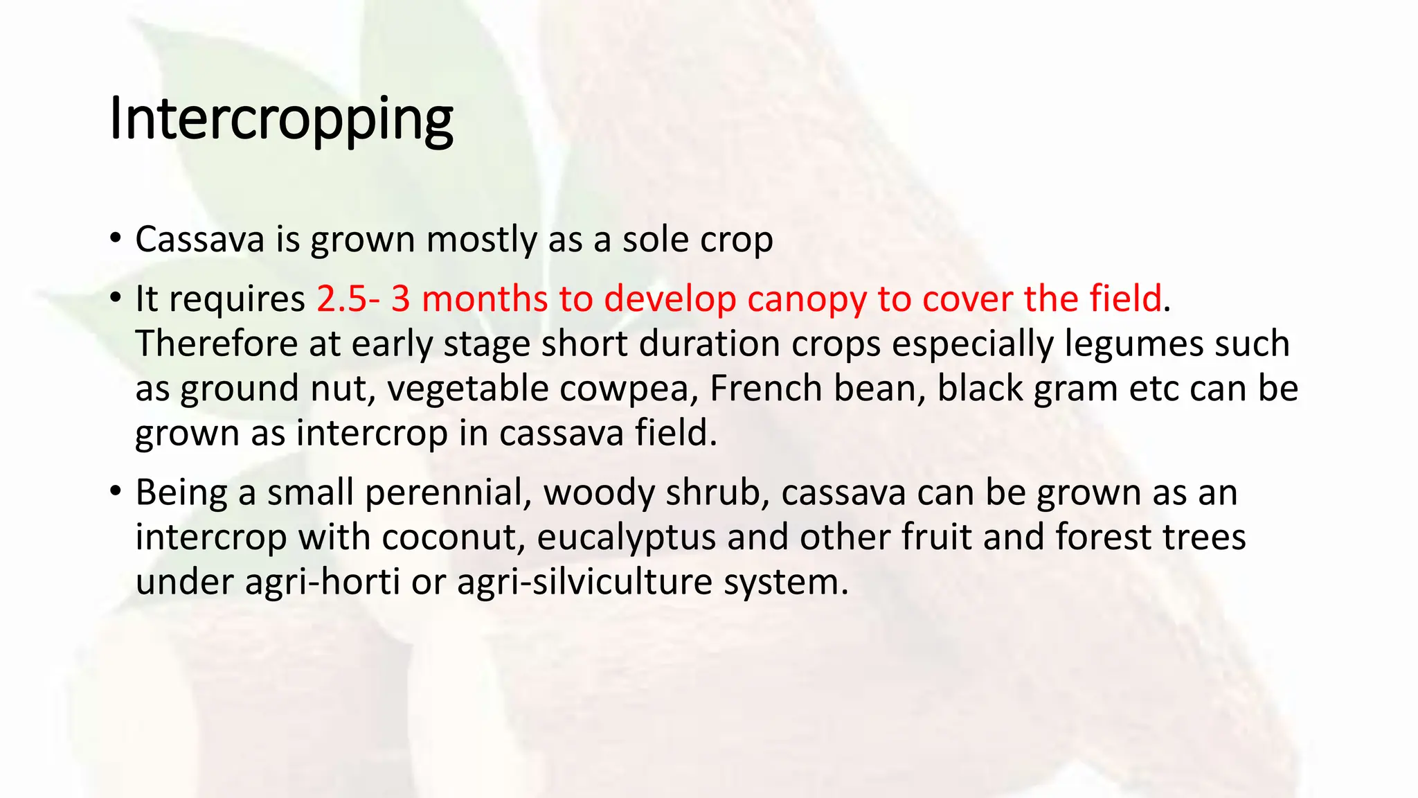 The Production technology of Cassava.pptx