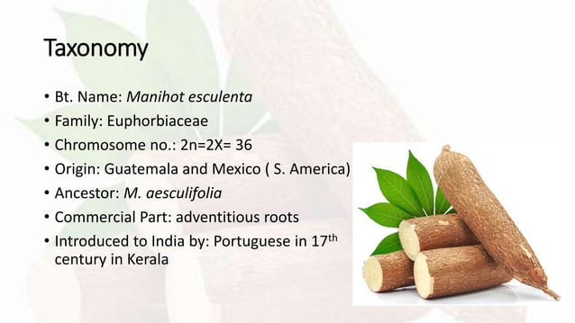 The Production technology of Cassava.pptx