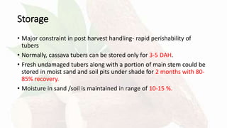 The Production technology of Cassava.pptx