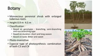 The Production technology of Cassava.pptx