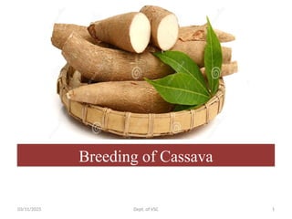 breeding of cassava power point presentation | PPTX