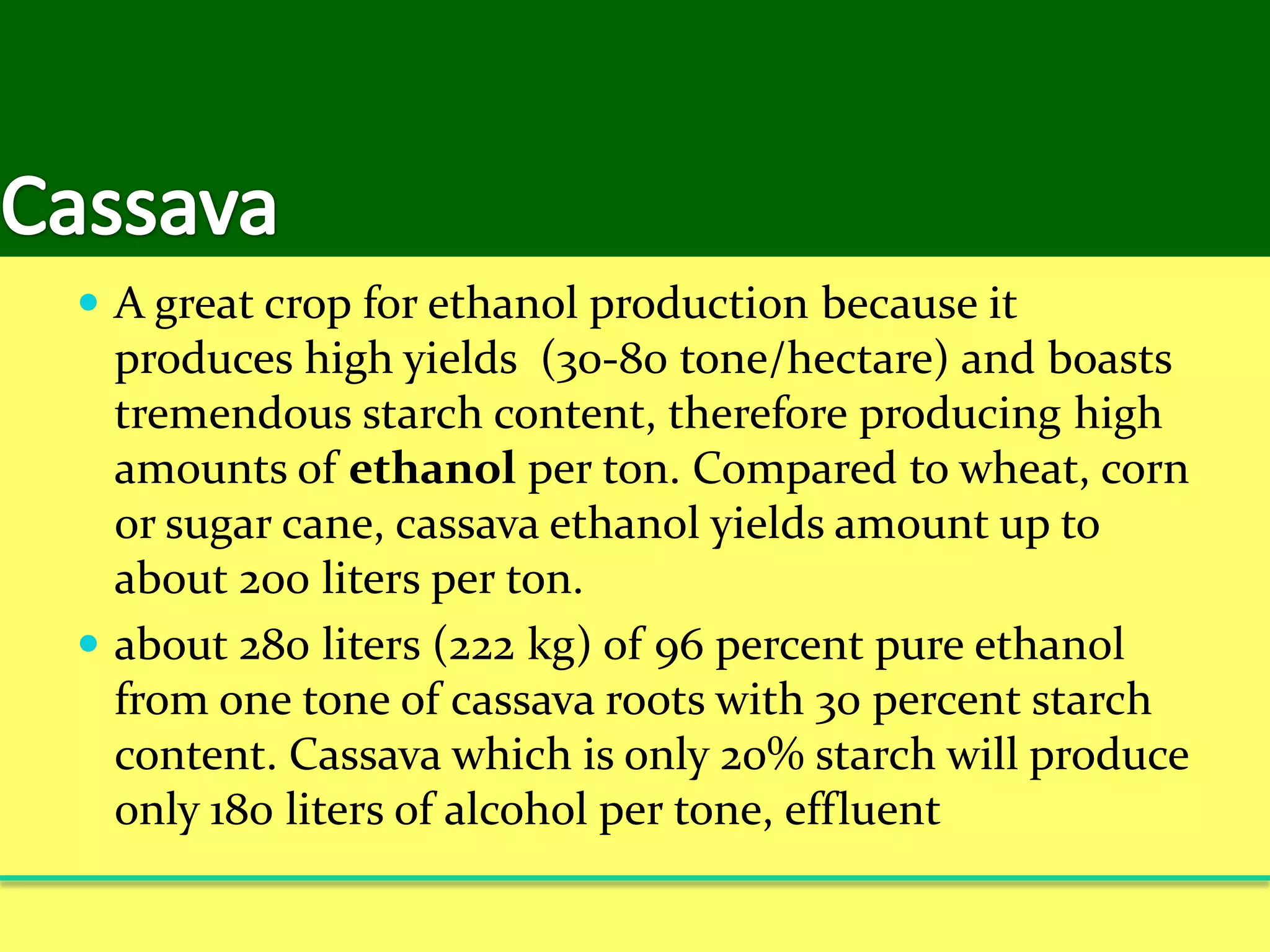 Cassava.2pdf