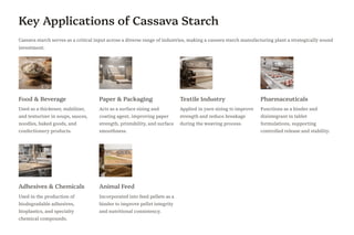 Cassava-Starch-Manufacturing-Plant-project report | PDF