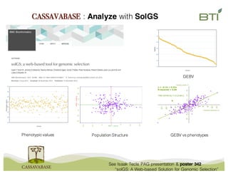 Cassavabase general presentation PAG 2016 | PPT