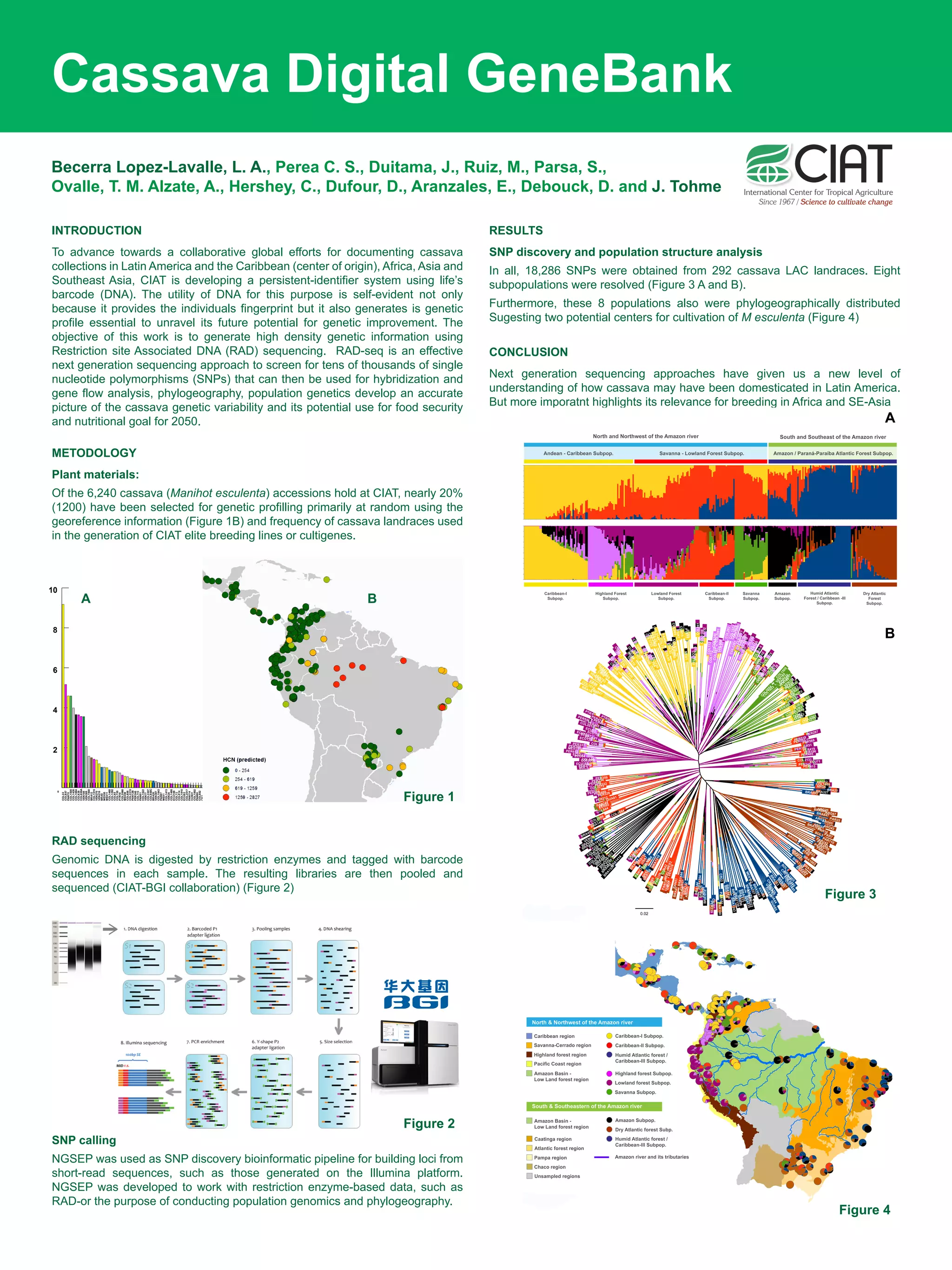 Cassava Digital GeneBank genetic profiling using RAD sequencing | PDF