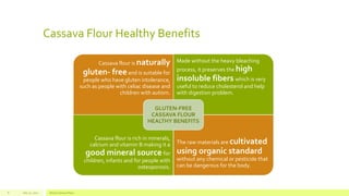 Premium Cassava Flour | PPSX