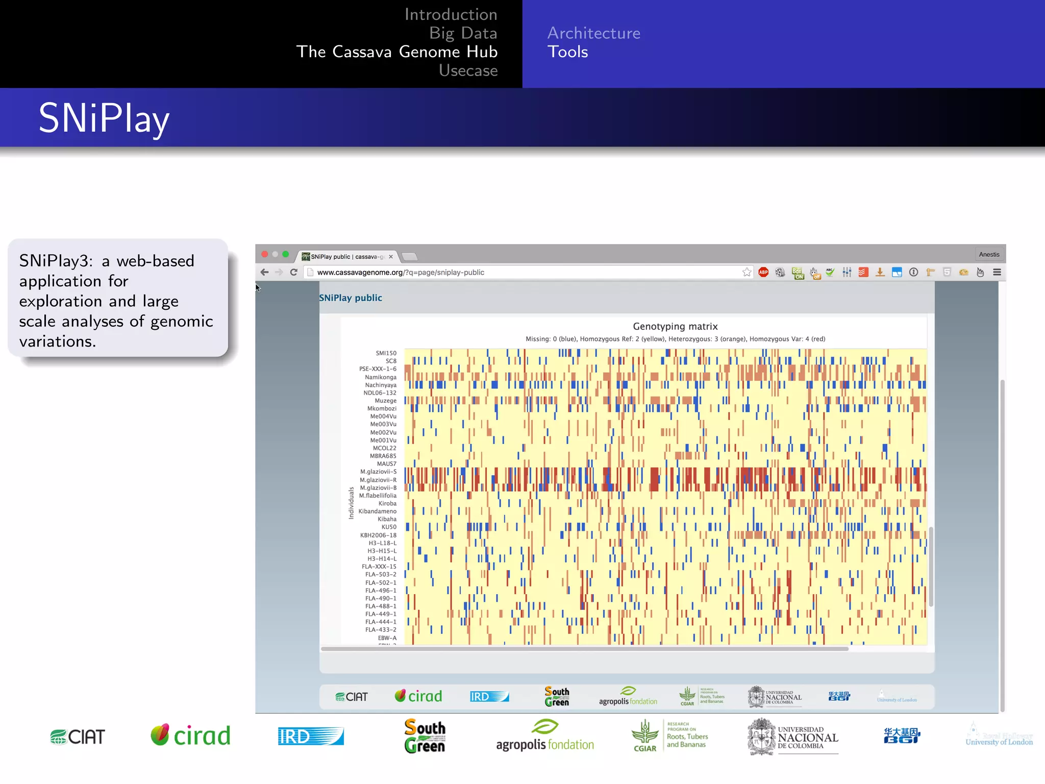 Cassava genome hub | PPT