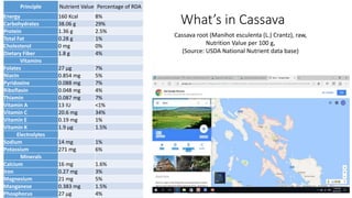 Cassava in Castilla, Sorsogon | PPTX
