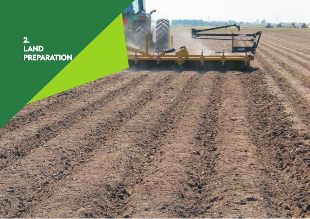 Improved Agronomic Practices For Sustainable High Yield Of Cassava In…