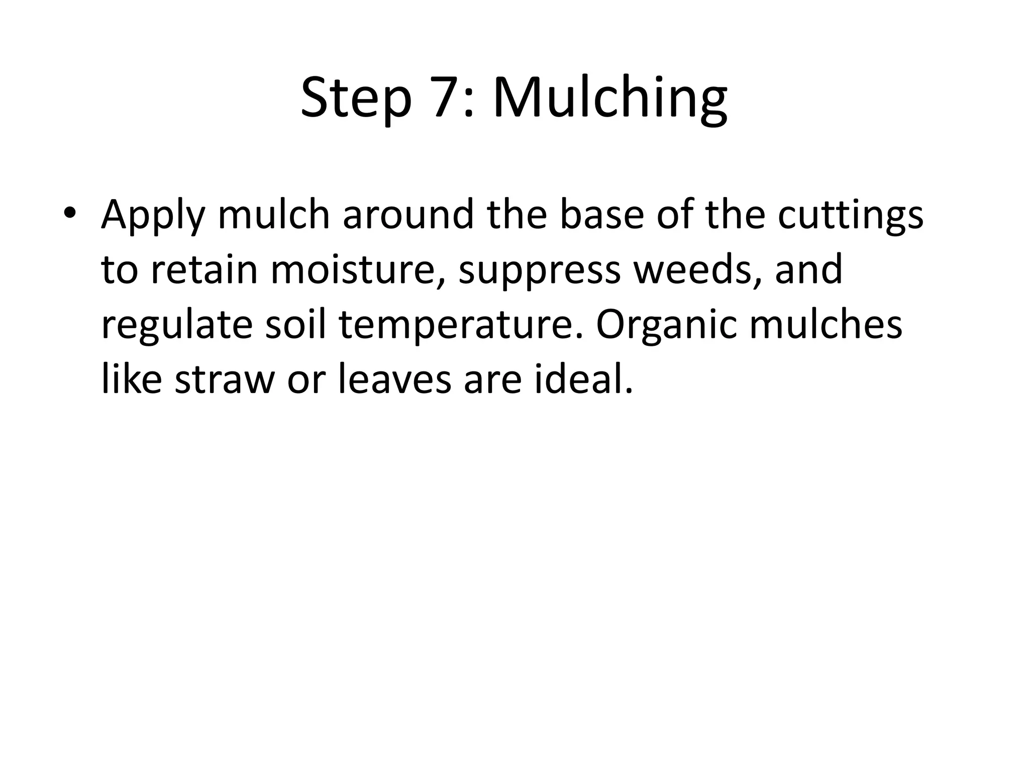 Cassava Propagation Cas sava Propagation | PPTX