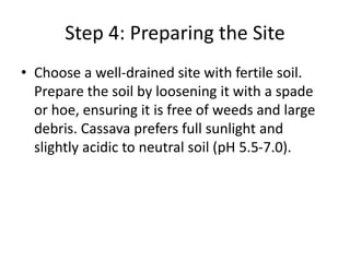 Cassava Propagation Cas sava Propagation | PPTX