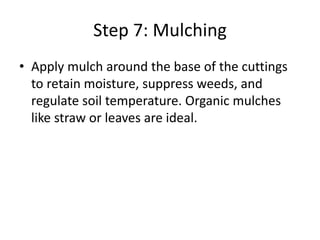 Cassava Propagation Cas sava Propagation | PPTX
