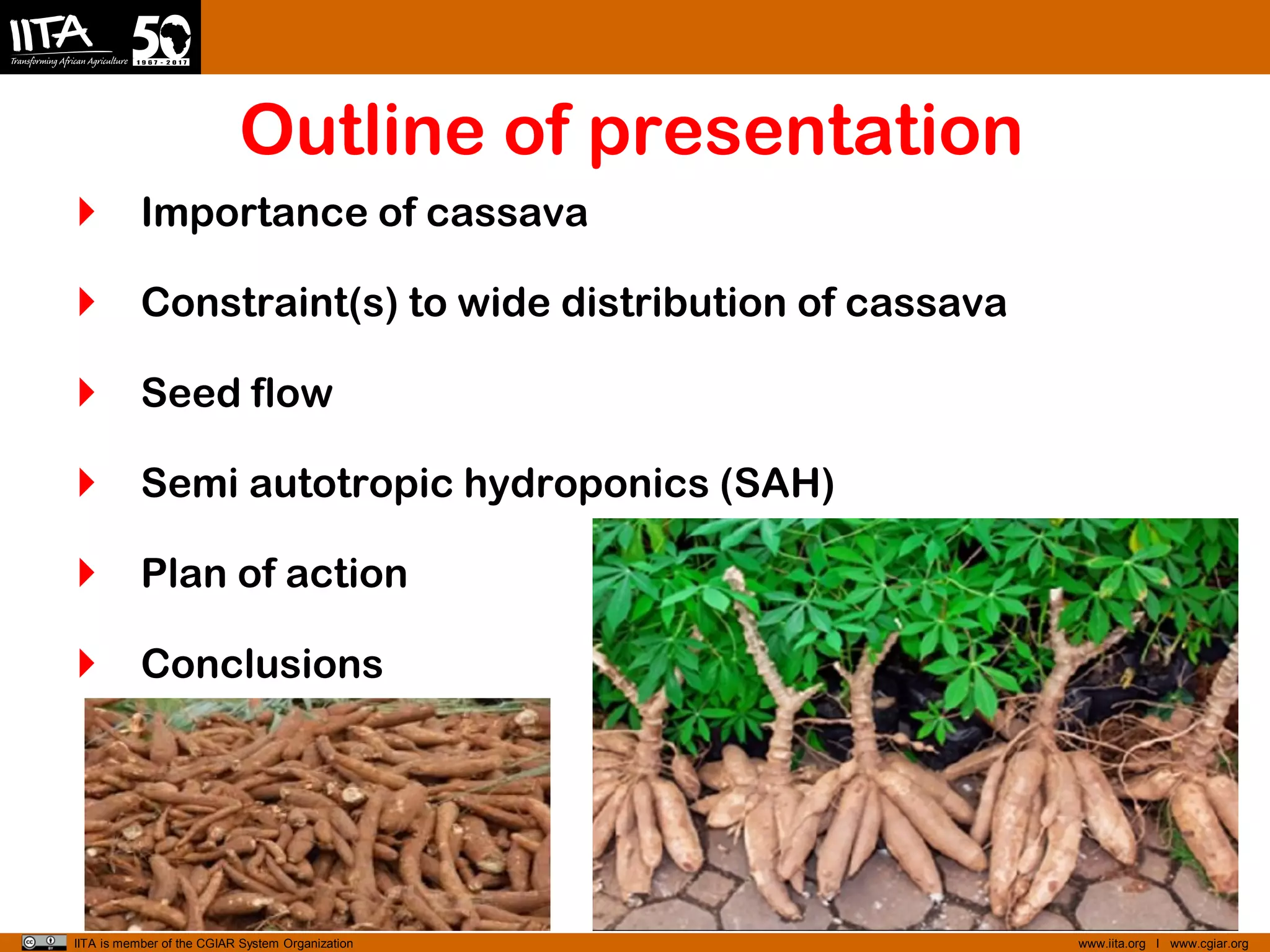 My vision and plan to manage cassava breeders seed and foundation seed ...