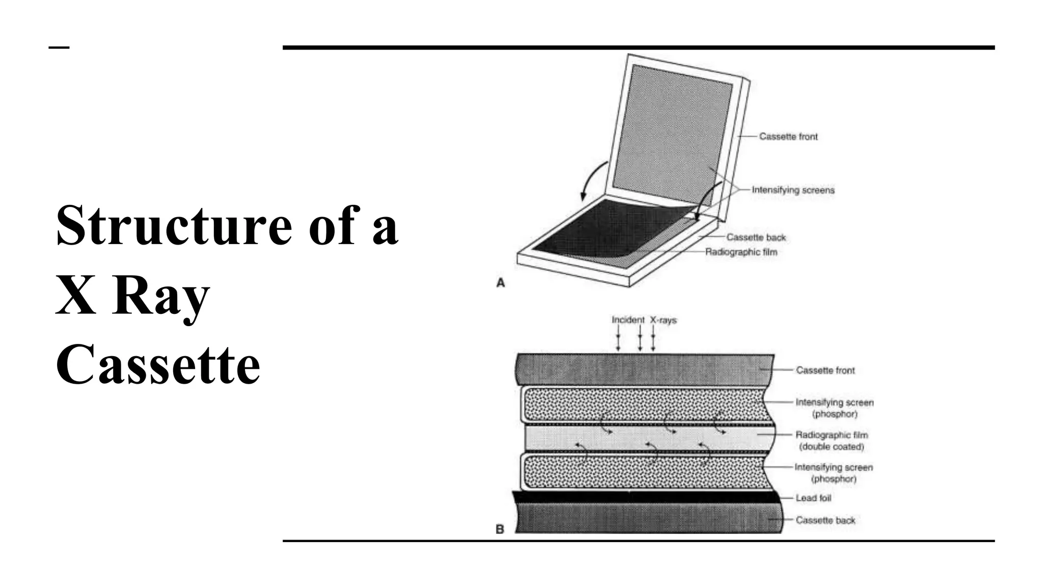 Cassette & Film in Dark room.pptx