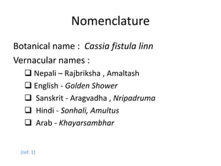 Cassia fistula (Rajbriksha) | PPTX