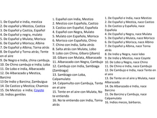 Sistema de Castas en la época colonial | PPT