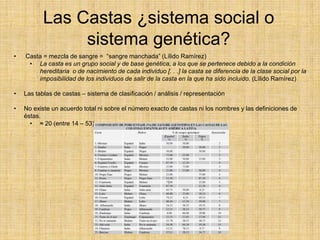 Castas coloniales | PPTX