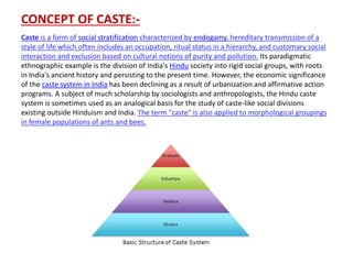 Cast, class, gender and race in INDIA | PPTX
