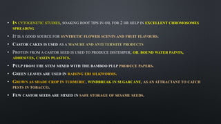 Caster Crop cultivation practices | PPTX