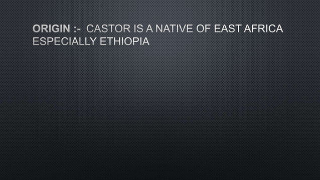 Caster Crop cultivation practices | PPTX | Agriculture | Industries