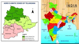 Caster Crop cultivation practices | PPTX