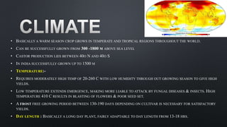 Caster Crop cultivation practices | PPTX