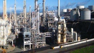 Caster Crop cultivation practices | PPTX