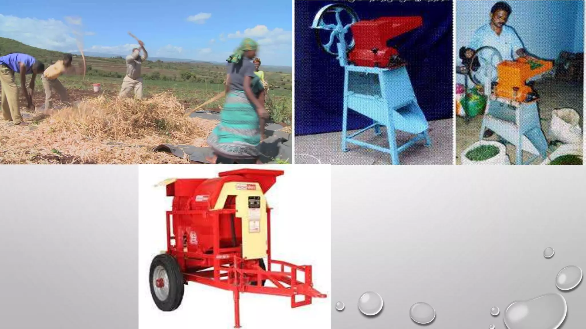 Caster thresher / Sheller | PPTX