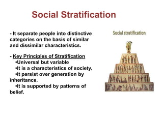 Social stratification and Caste system- its evil | PPTX
