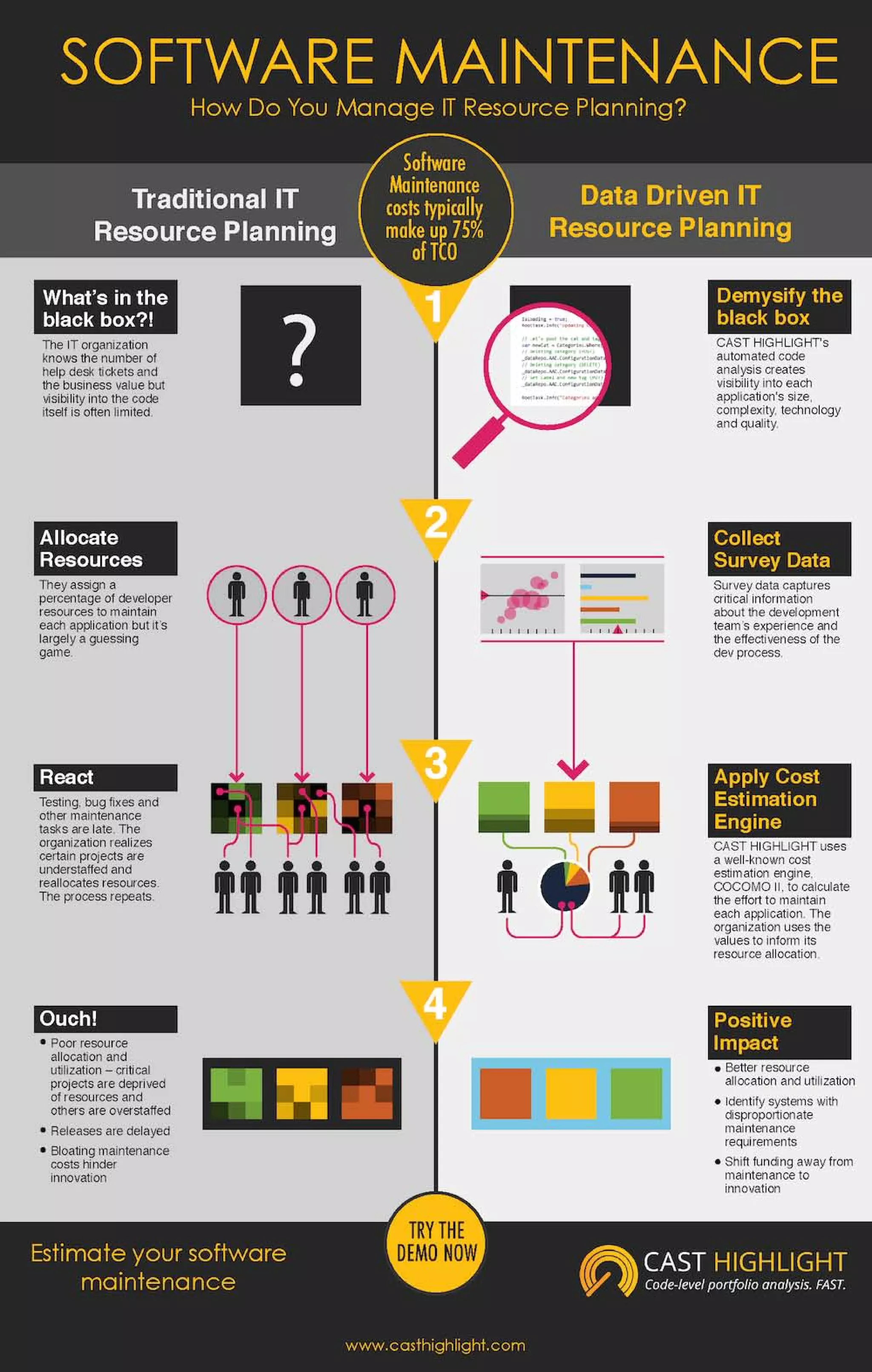 Cast Highlight Software Maintenance Infographic | PDF