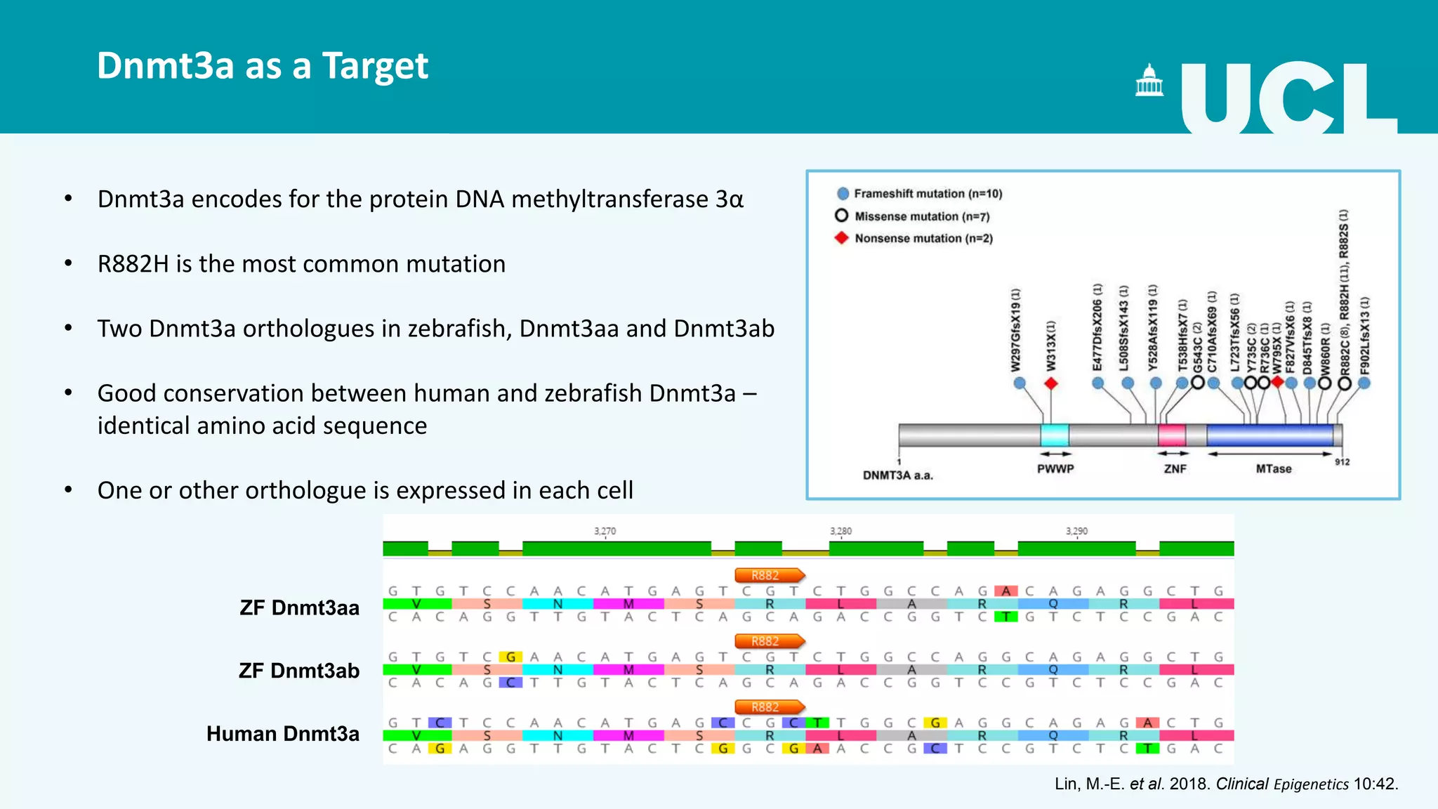 Casting a Wider Net in Zebrafish Screening with Automated Microscopy and Image Analysis | PPTX