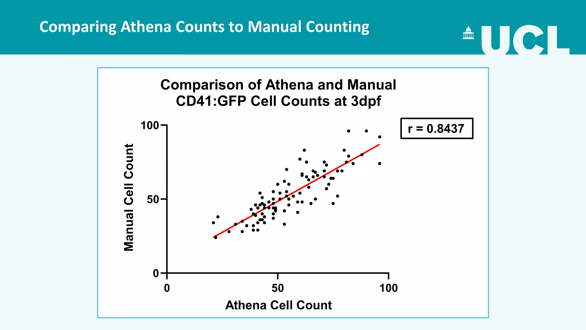 Casting a Wider Net in Zebrafish Screening with Automated Microscopy and Image Analysis | PPTX